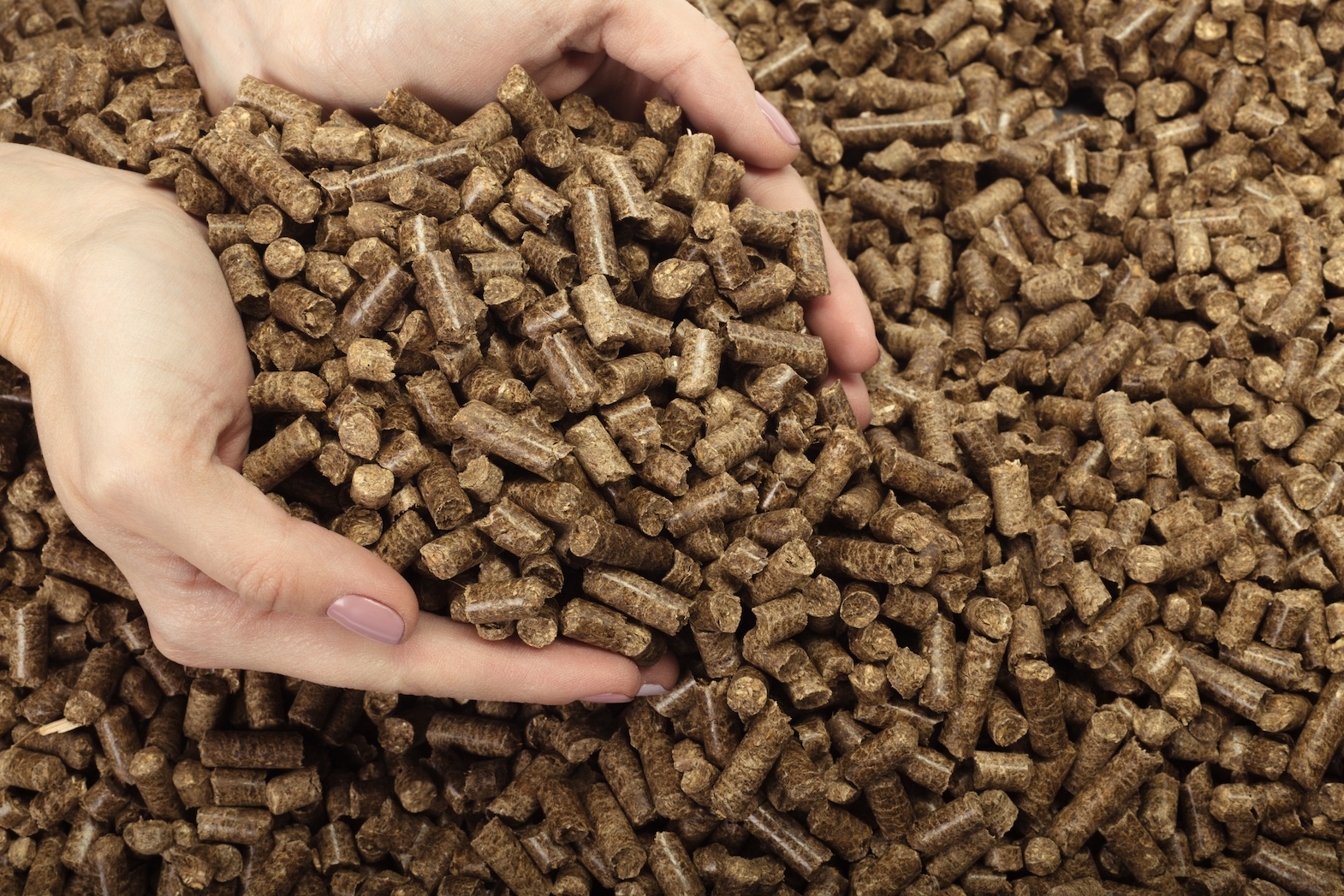 Aerox - Your worldwide partner for Industrial Odor Reduction
